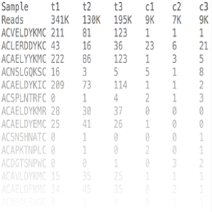 Information Technology – 48Hour Discovery