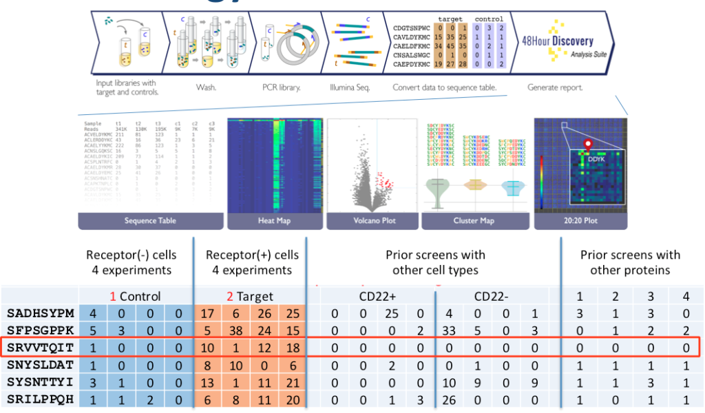 Technology – 48Hour Discovery